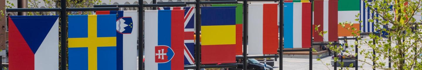 What is the CJIB? | CJIB.nl