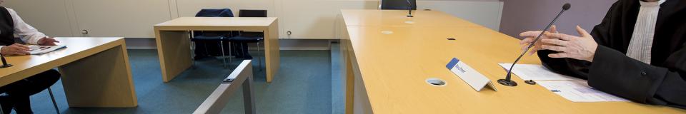 I disagree with my fine | CJIB.nl